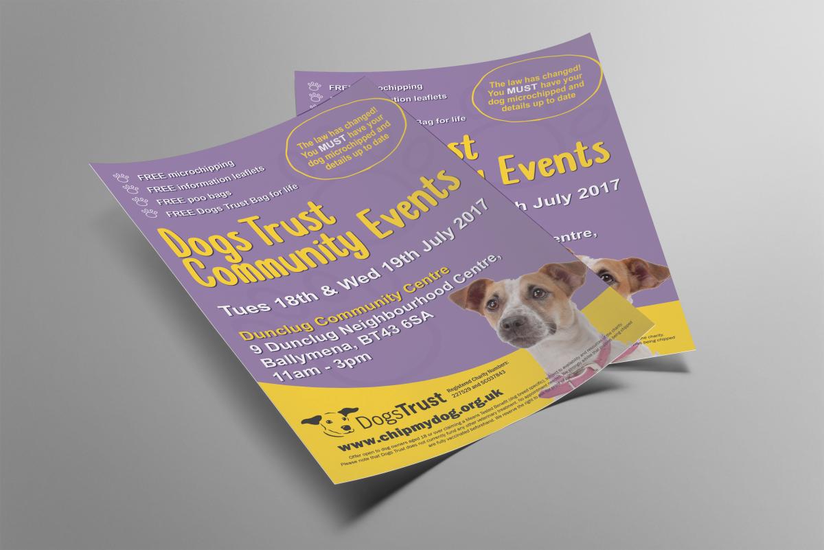 Aspect Media | Creative Agency | Dogs Trust | Case Study